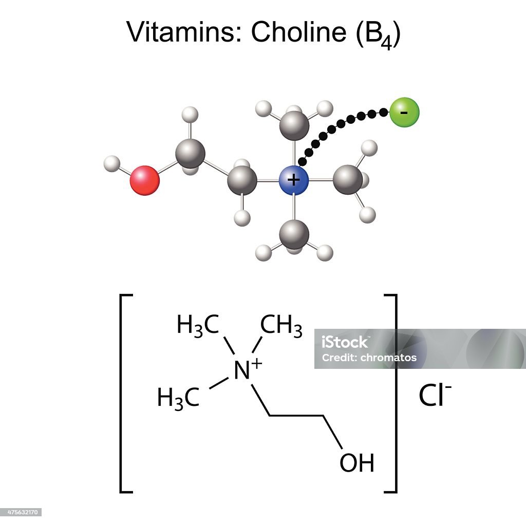 Formula Kimia Struktural Dan Model Kolin Vitamin B4 Ilustrasi Stok
