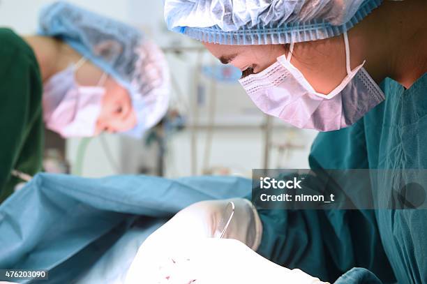 Dua Dokter Bedah Hewan Di Ruang Operasi Foto Stok - Unduh Gambar ... Dua Dokter Bedah Hewan Di Ruang Operasi Foto Stok - Unduh Gambar ...