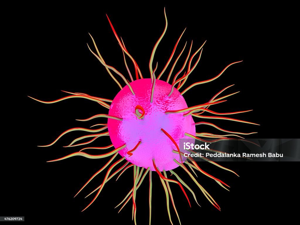 Neisseria Gonorrhoeae 박테리아 아트웍 0명에 대한 스톡 사진 및 기타 이미지 0명 2015년 3차원