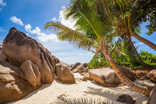 130+ Seychelles Rock Order Environment Stock Photos, Pictures & Royalty ... 130+ Seychelles Rock Order Environment Stock Photos, Pictures & Royalty ...
