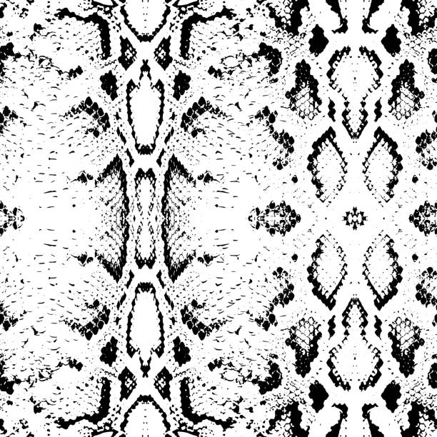 5 900 Python Stock Illustrations Graphiques Vectoriels Libre De