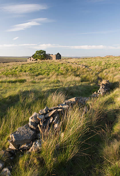 Yorkshire Moors Pictures | Download Free Images on Unsplash