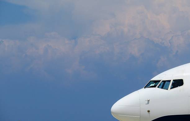 Free picture: flying, birds, distance, blue sky, flight, weather, cloud ...