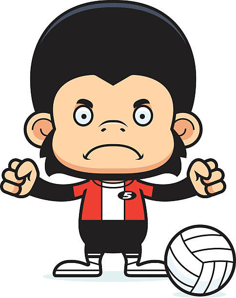 300 Best Volleyball Clip Art Bildbanksillustrationer Royaltyfri