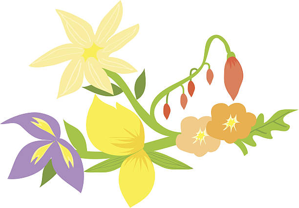 380 Little Rose Buds Illustrations Royalty Free Vector Graphics