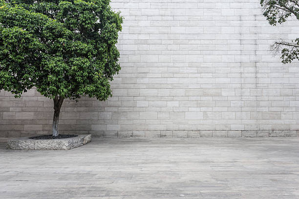 Street Wall Pictures | Download Free Images on Unsplash