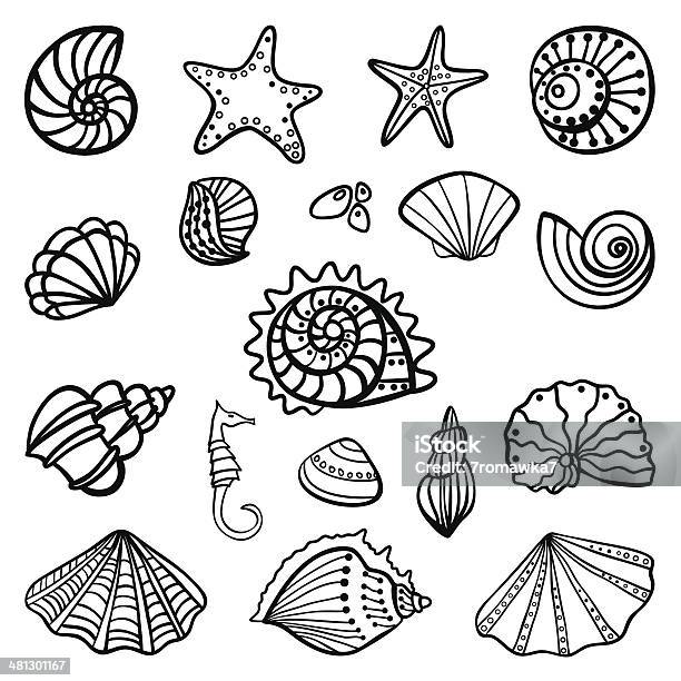 Seashells 세트마다 흰색 배경의 갑각류에 대한 스톡 벡터 아트 및 기타 이미지 갑각류 검은색 껍데기 Istock