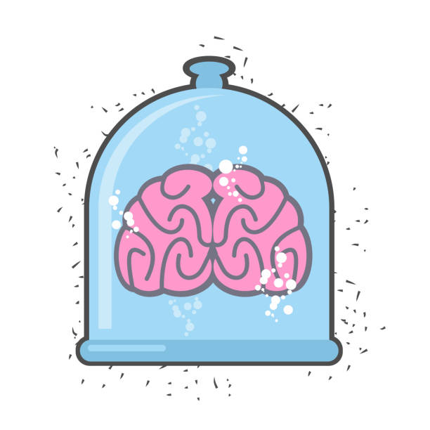 80 Human Brain In A Jar Stock Illustrations Royalty Free Vector Graphics And Clip Art Istock