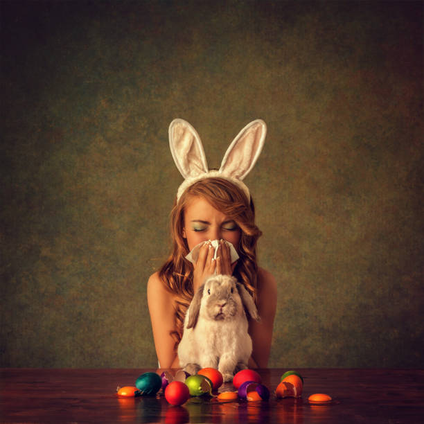 Free Stock Photo of Sad Easter Bunny | Download Free Images and Free ...