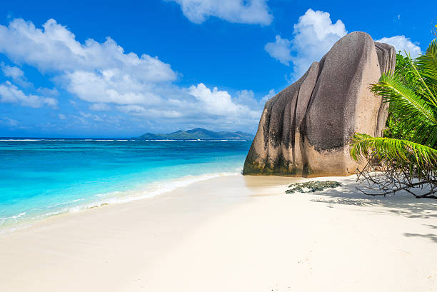 130+ Seychelles Rock Order Environment Stock Photos, Pictures & Royalty ... 130+ Seychelles Rock Order Environment Stock Photos, Pictures & Royalty ...
