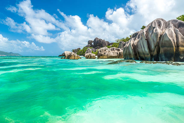 130+ Seychelles Rock Order Environment Stock Photos, Pictures & Royalty ... 130+ Seychelles Rock Order Environment Stock Photos, Pictures & Royalty ...