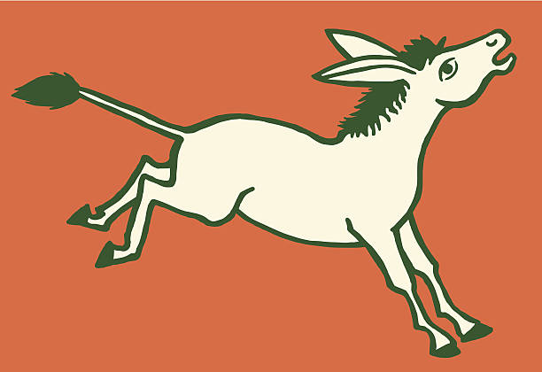 Donkey kick Clipart Vector PNG , SVG, EPS, PSD, AI