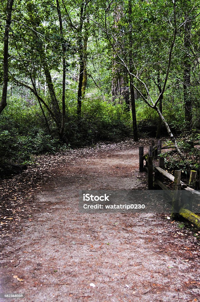 Curved Pathway Stock Photo - Download Image Now - Curve, Fence ... Curved Pathway Stock Photo - Download Image Now - Curve, Fence ...