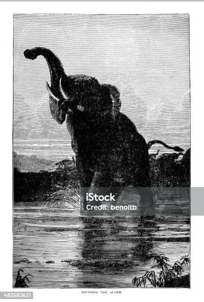 Sounding The Alarm Stock Illustration - Download Image Now - Pond ... Sounding The Alarm Stock Illustration - Download Image Now - Pond ...