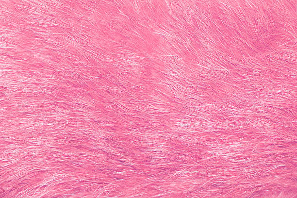 Free Stock Photo of Pink fluffy animal fur texture | Download Free ...