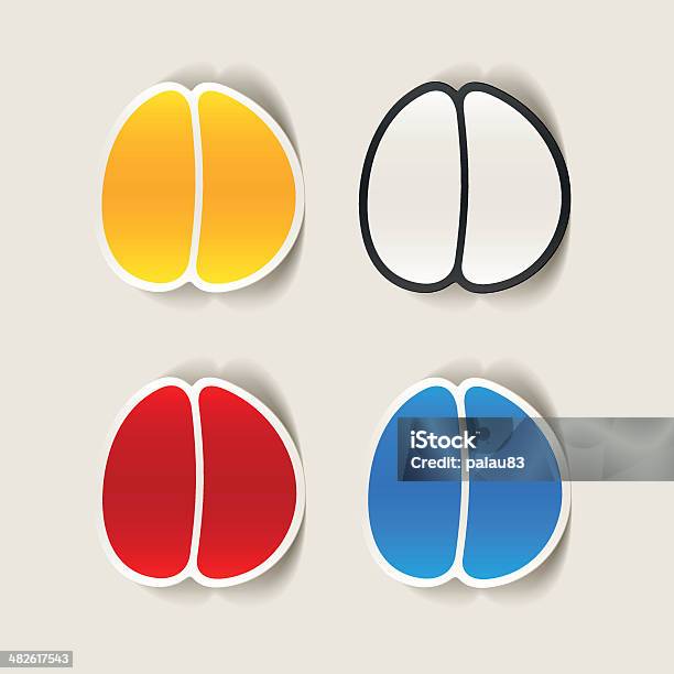 Realistic Design Element Brain向量圖形及更多互聯網圖片 互聯網 人 人腦 Istock