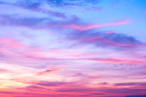 500+ Pink Sky Pictures | Download Free Images on Unsplash