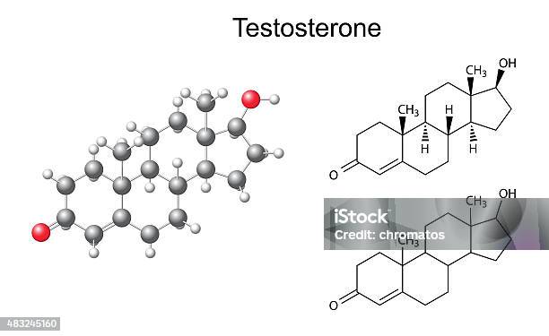 Chimiques Structurels Formules Et Modèle De Testostérone Molécule