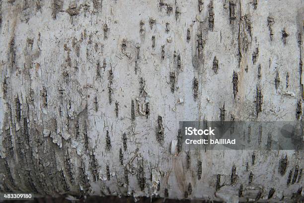 Wood Texture 照片檔及更多 2015年 照片 2015年 咖啡色 外太空 Istock