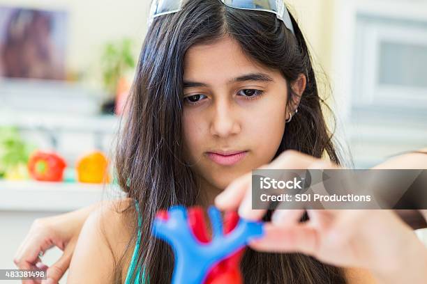 Preteen Chica Con La Ciencia Modelo Mientras Se Homeschooled Foto De
