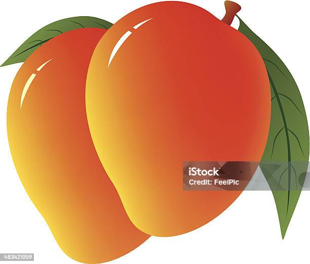 Mangga Di Latar Belakang Putih Ilustrasi Stok Unduh Gambar Sekarang