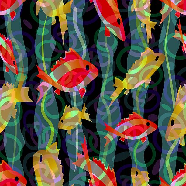 Download Fish Collage, Photo Collage, Underwater. Royalty-Free Stock ...
