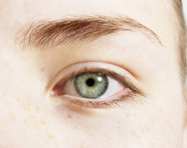 Best 500+ Green Eyes Pictures | Download Free Images on Unsplash