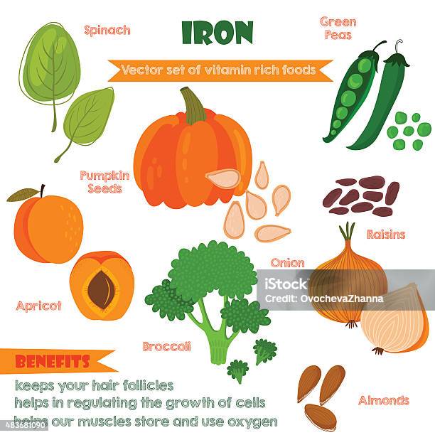 Vitamins And Minerals Foods Illustrator Set 4vector Set Of Vita向量圖形及更多