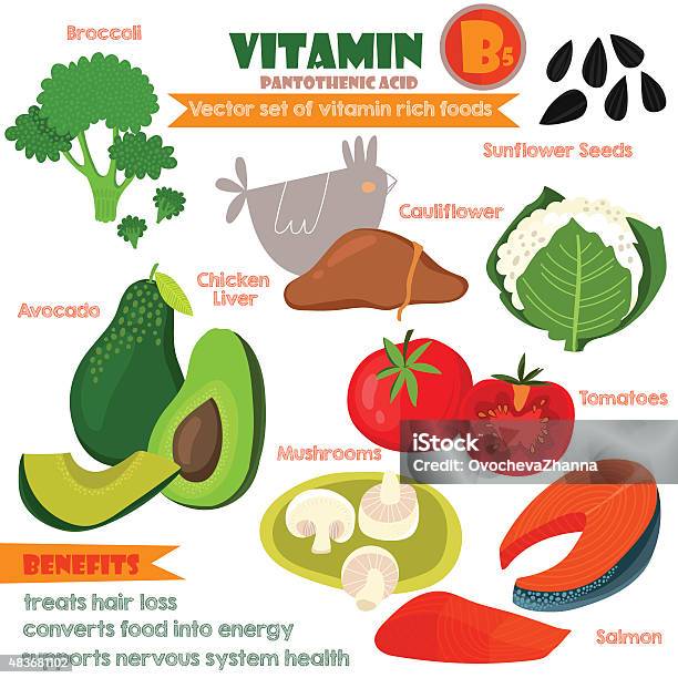 Vitamins And Minerals Foods Illustrator Set 9vector Set Of Vita Stock