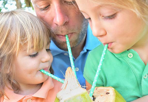 430+ Baby Coconut Tree Stock Photos, Pictures & Royalty-Free Images ... 430+ Baby Coconut Tree Stock Photos, Pictures & Royalty-Free Images ...