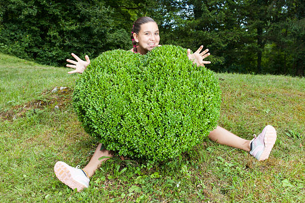 Nicely+Trimmed+Female+Bush Photos, Download The BEST Free Nicely ...