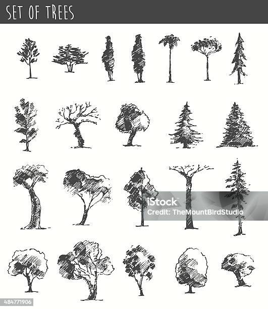 Trees Sketch Set Vintage Vector Style Hand Drawn向量圖形及更多版雕圖片 版雕 雕刻圖像