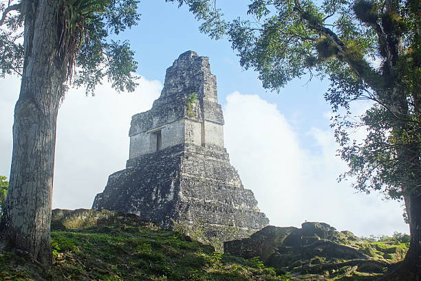 Tikal Pictures | Download Free Images on Unsplash