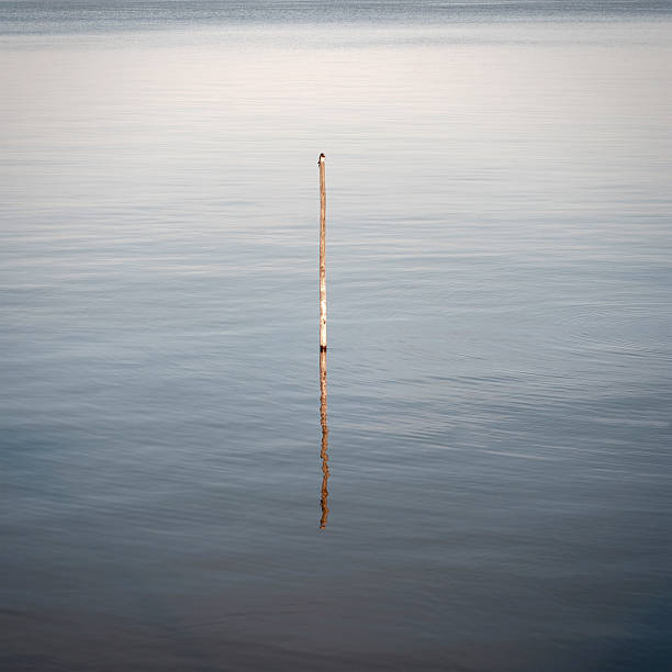 Free Stock Photo of Wooden Pole Floating in Middle of Lake | Download ...