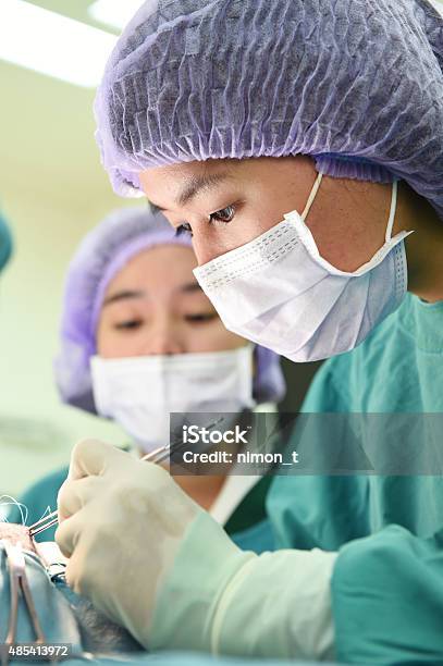 Dua Dokter Bedah Hewan Di Ruang Operasi Foto Stok - Unduh Gambar ... Dua Dokter Bedah Hewan Di Ruang Operasi Foto Stok - Unduh Gambar ...