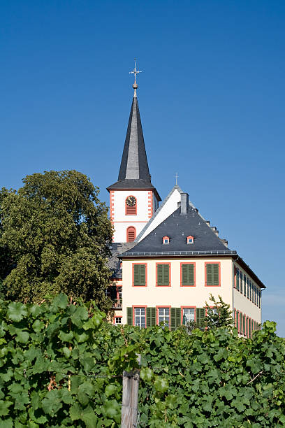 Hochheim Am Main Pictures | Download Free Images on Unsplash