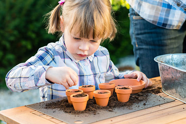 70 Niños De Plantación De Semillas Juntos En Clase Fotografías De