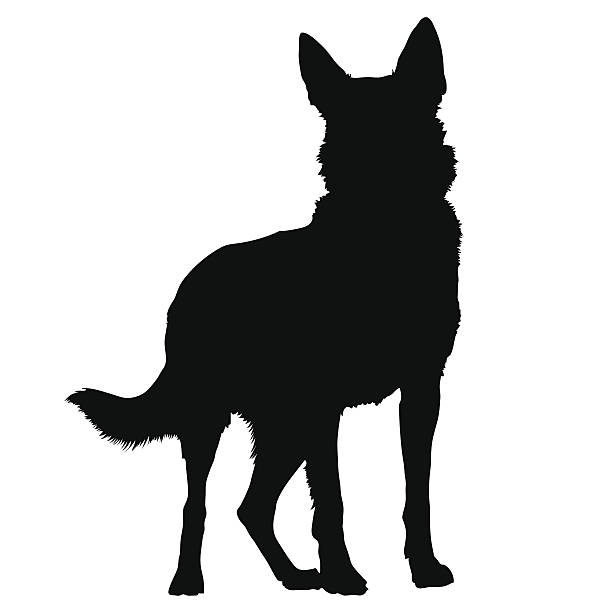 500 Politiehond Stockillustraties Royalty Free Vector Illustraties En