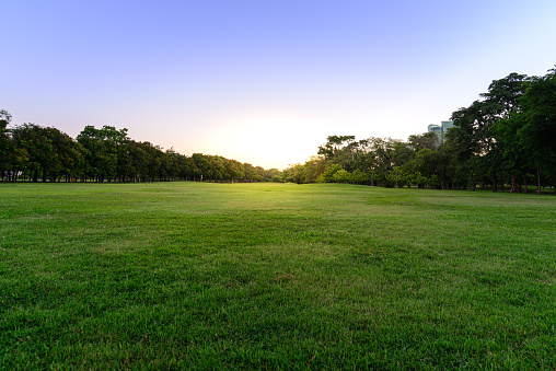 Lanskap Lapangan Golf Dengan Pohon Foto Stok - Unduh Gambar Sekarang ... Lanskap Lapangan Golf Dengan Pohon Foto Stok - Unduh Gambar Sekarang ...