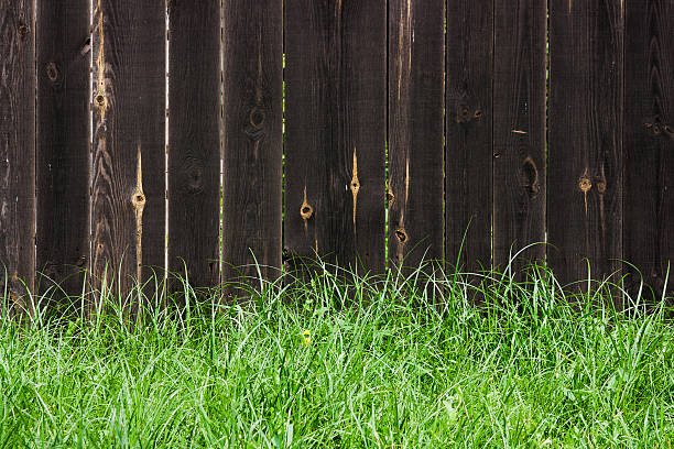 Free Stock Photo of Wooden Fence With Tall Grass Background | Download ...