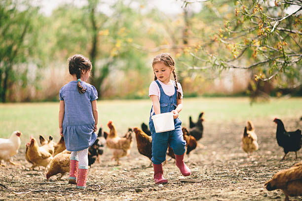 30k+ Farm Girl Pictures | Download Free Images on Unsplash