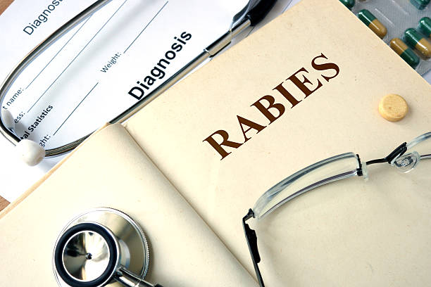 Rabies Photos, Download The BEST Free Rabies Stock Photos & HD Images