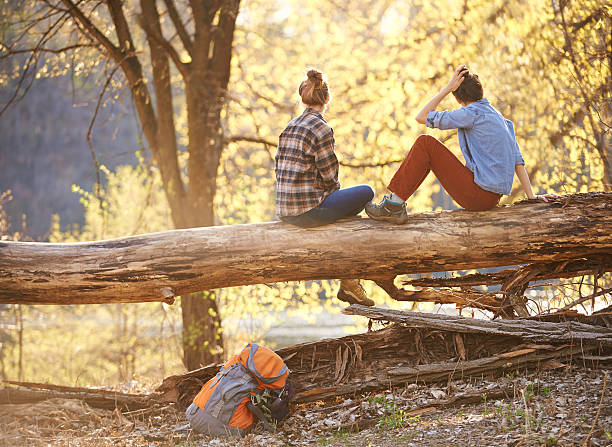 Free Stock Photo of Two people sitting on a log | Download Free Images ...