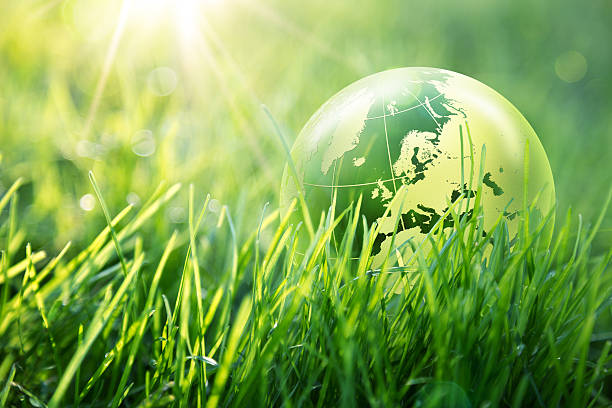Free Stock Photo of Green World Concept | Download Free Images and Free ...