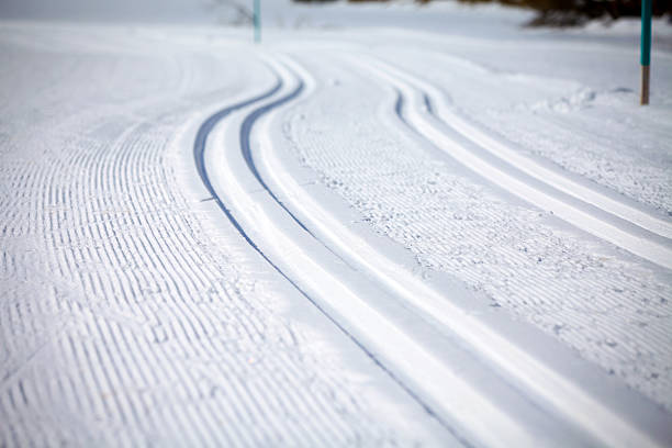 Ski Tracks Pictures | Download Free Images on Unsplash