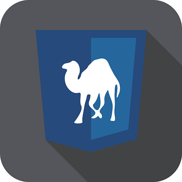 20 Programming Perl Stock Illustrations Royalty Free Vector Graphics And Clip Art Istock