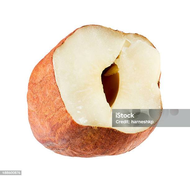 Hazel 반 바탕에 흰색 배경 0명에 대한 스톡 사진 및 기타 이미지 0명 2015년 갈색 Istock