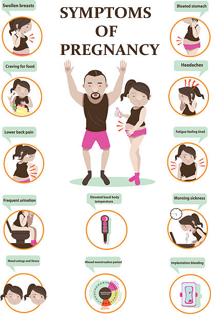 Pregnancy Chart: What To Expect Each Trimester | atelier-yuwa.ciao.jp Pregnancy Chart: What To Expect Each Trimester | atelier-yuwa.ciao.jp