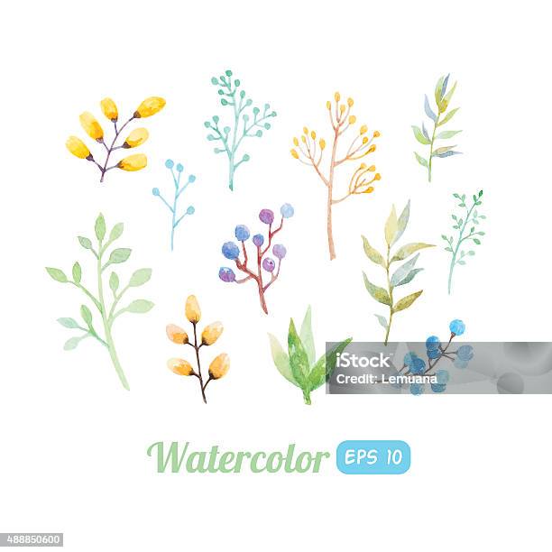 Set Of Watercolor Flower Elements向量圖形及更多夏天圖片 夏天 大自然 季節 Istock