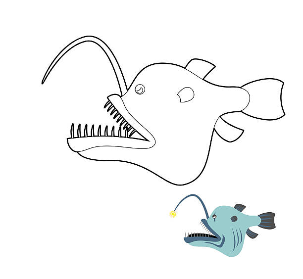 50+ Anglerfish Coloring Page Stock Illustrations, Royalty-Free Vector ... 50+ Anglerfish Coloring Page Stock Illustrations, Royalty-Free Vector ...
